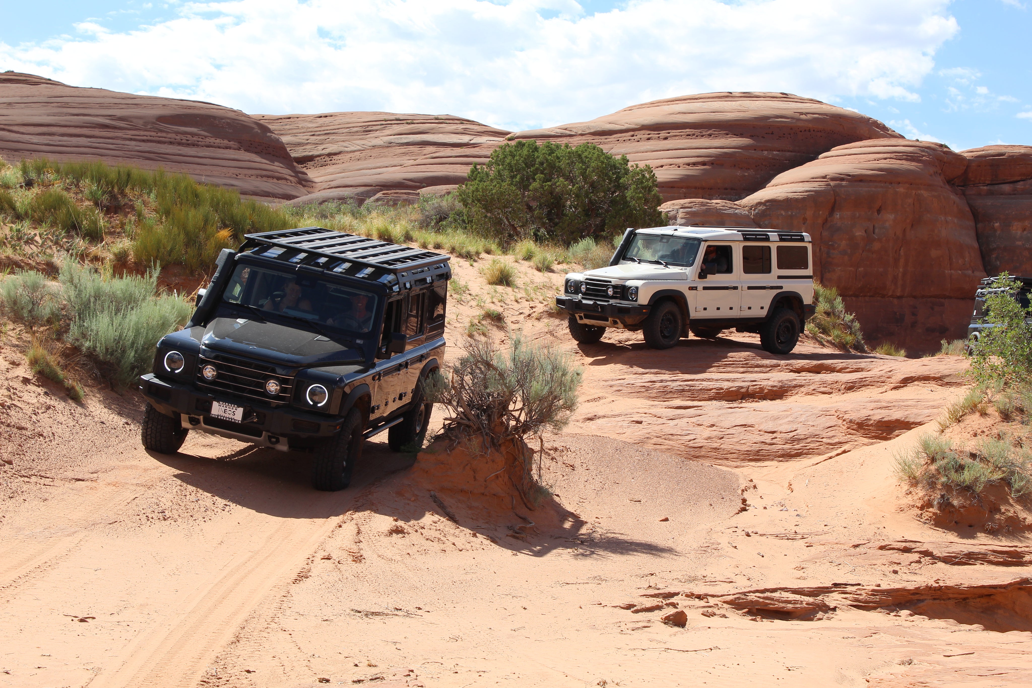 Trail Sponsorship- Backwards Bill – INEOS Events USA